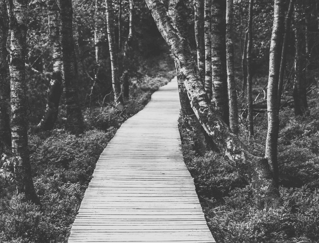 Path B&W – Woodland Counseling, LLC